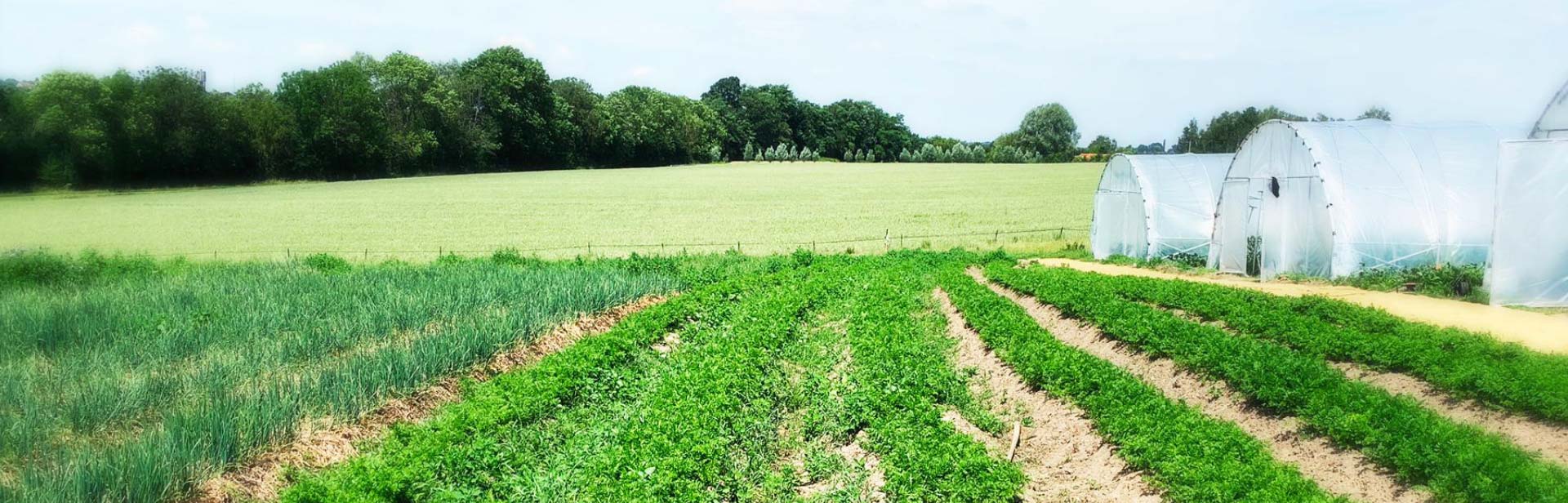 Travailler à la ferme - Little Farm