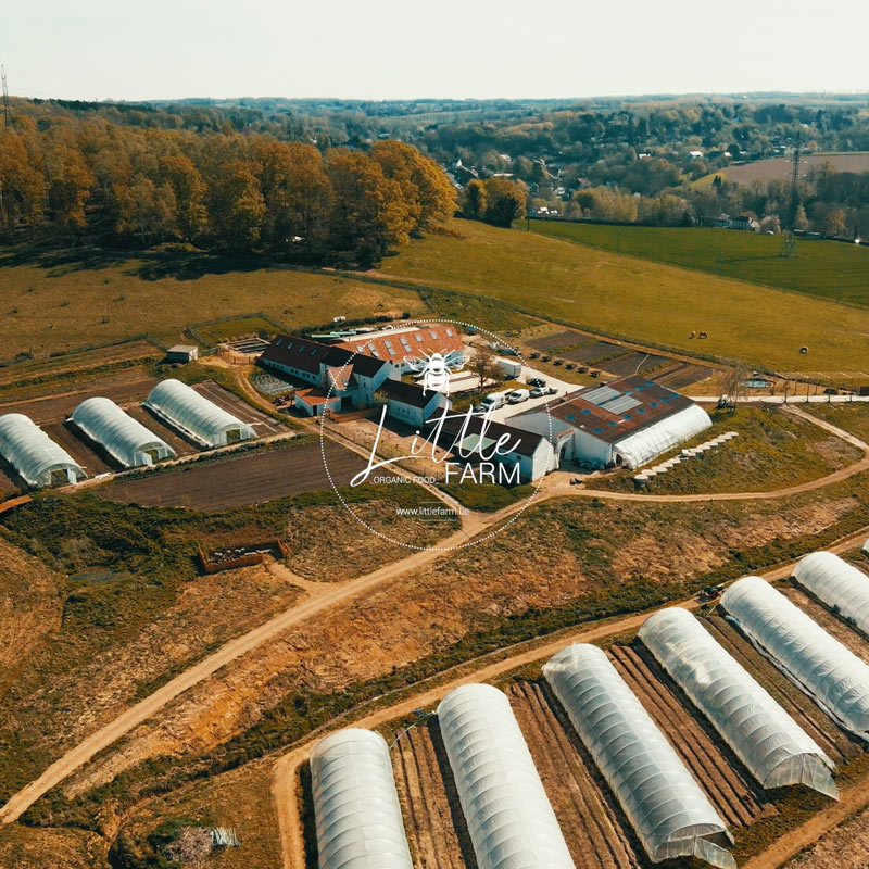 Little Farm – Organic Food